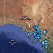 List of Support Groups | PCFA