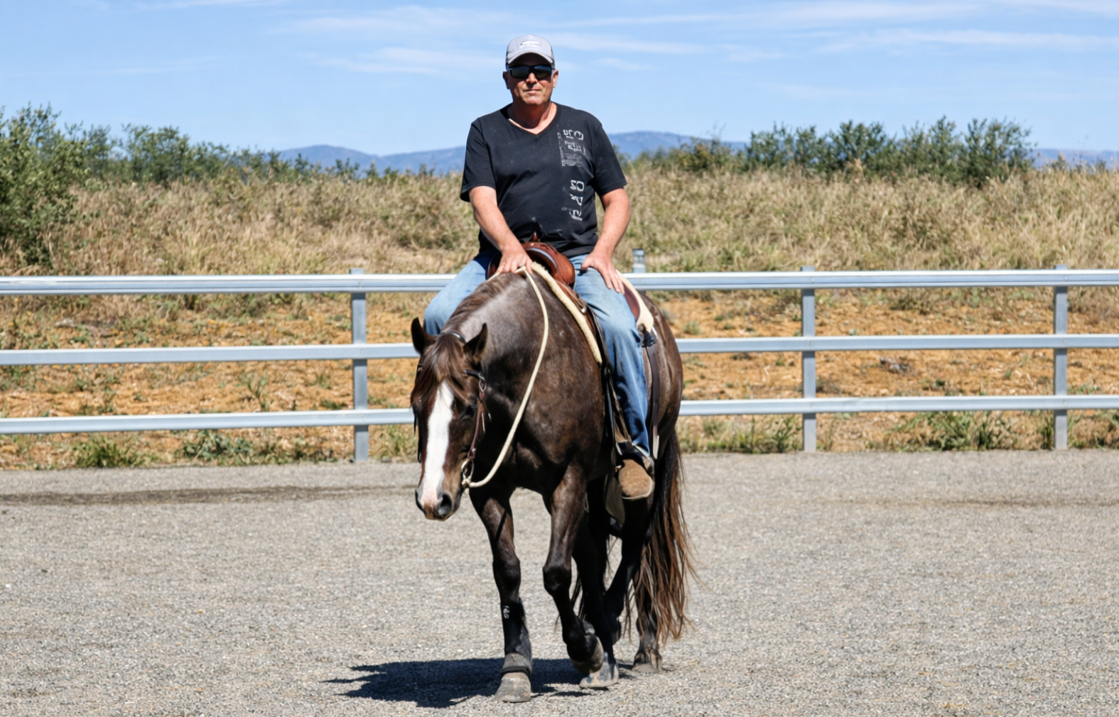 One Last Ride: $1,700 raised for legendary horseman Steve Nikolic | PCFA